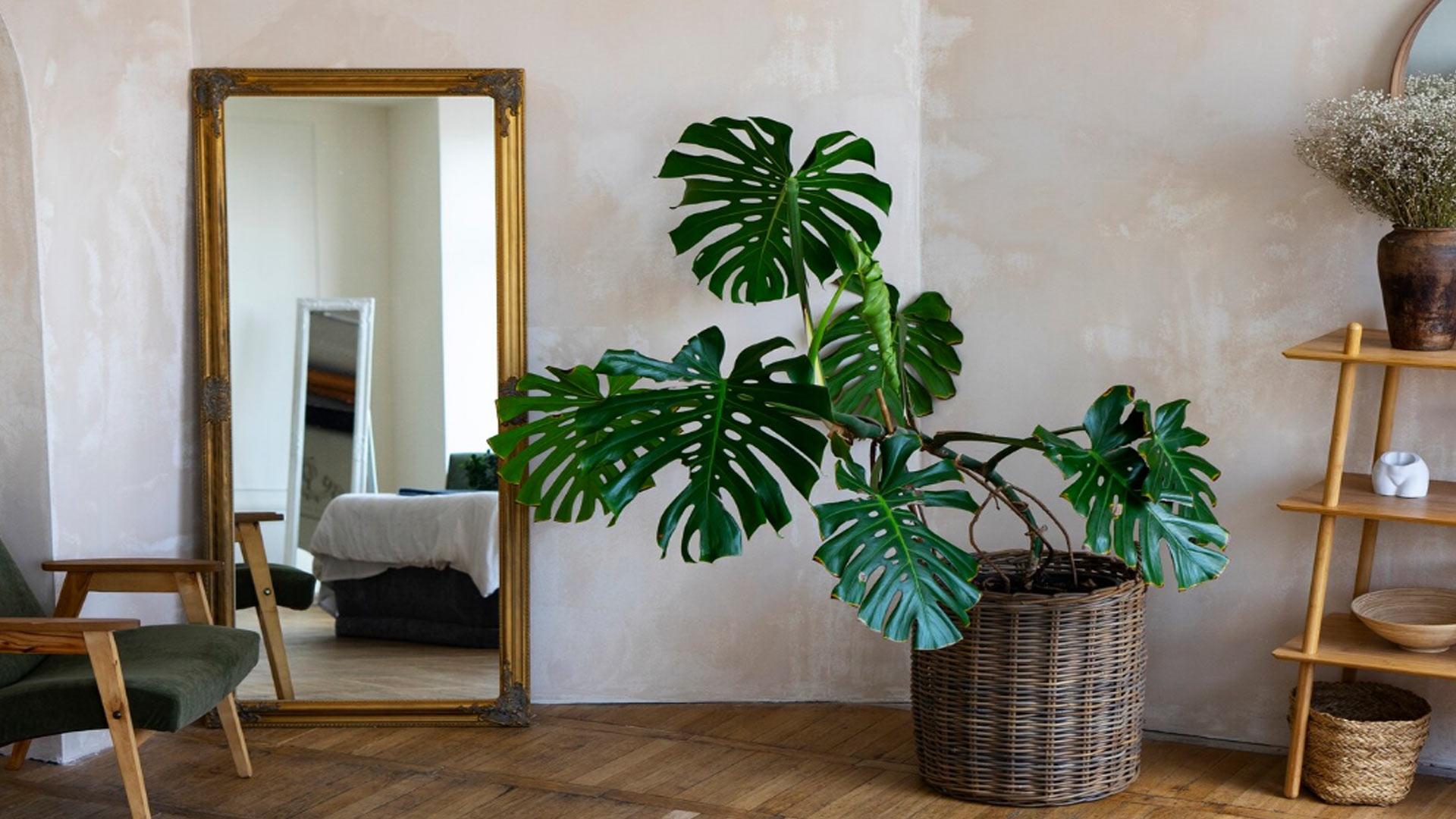 Custom Cut Mirrors Services in DMV| DMV Window Repairs